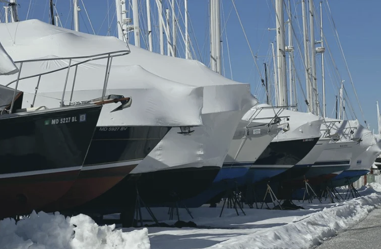 Flying Bridge Marina | Boat Sales & Service